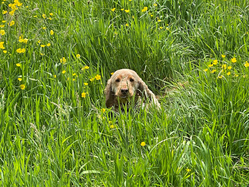 Mayzy days – Natural adventures