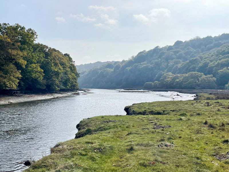 River Fowey – Natural adventures