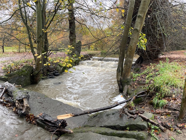 Meanwood Beck – Natural adventures